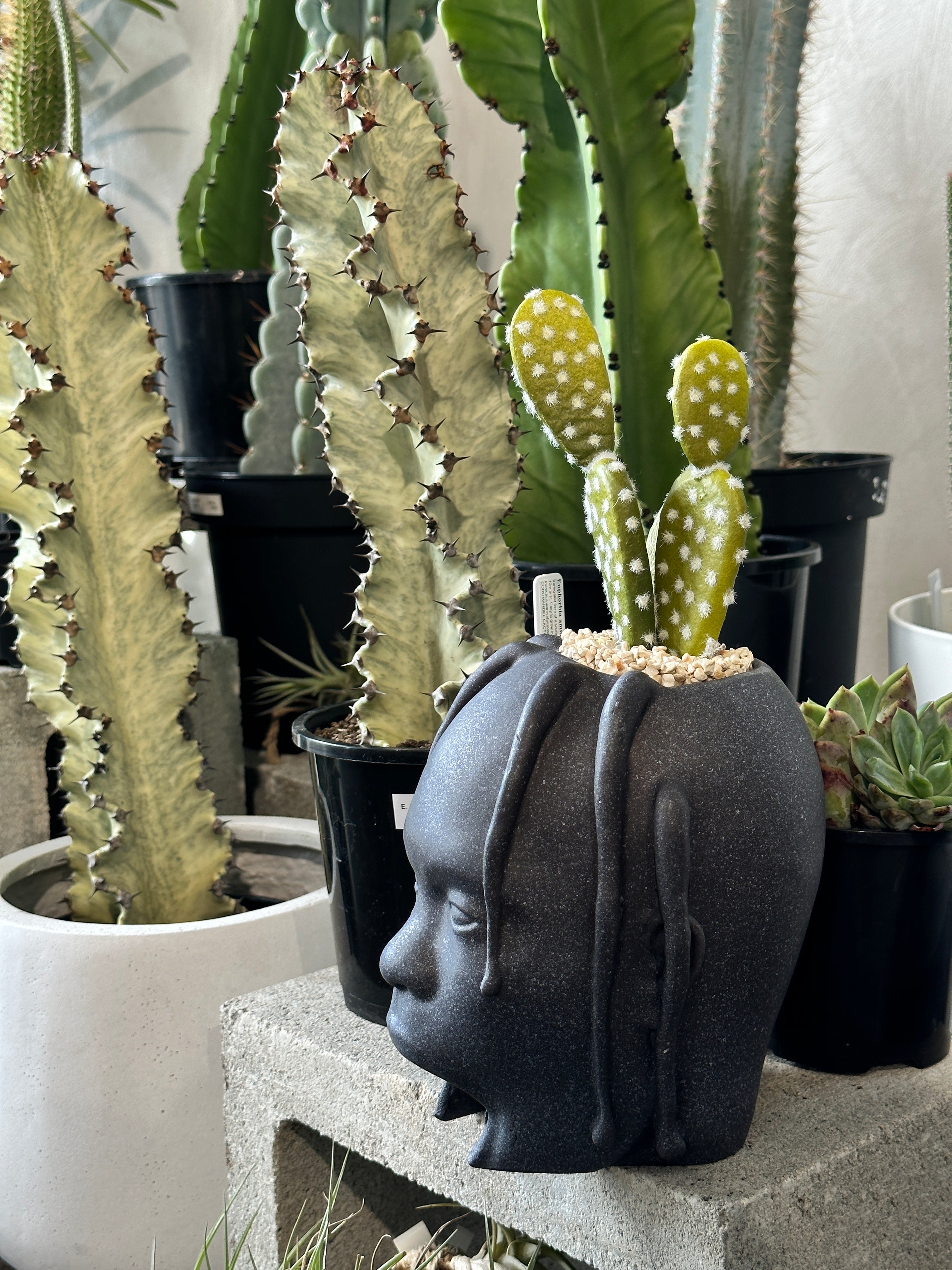 Home Invasion: Hip-Hop & Pop Culture Decor – Receipt Rugs, Plush Toys ...