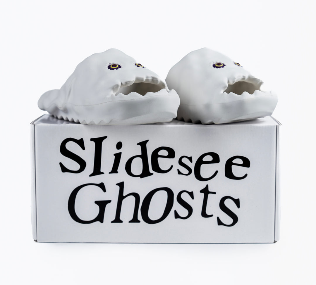 Slides See Ghosts – Home1nvasion